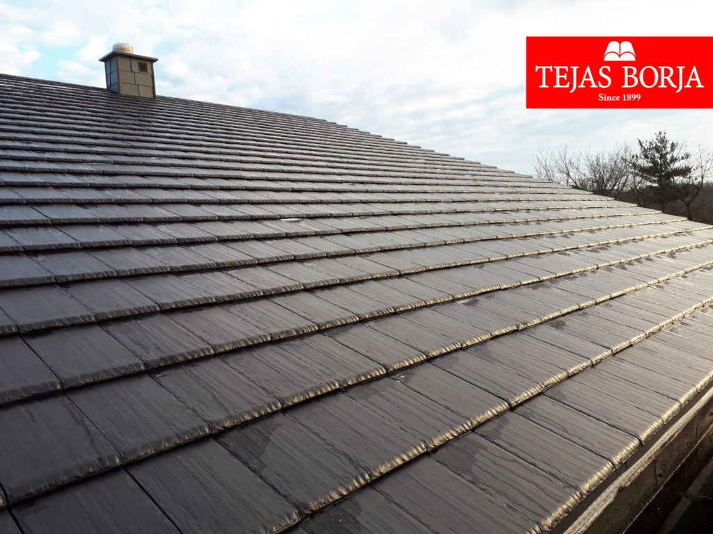 Tjegulla "Flat-10 Leon" Tejas Borja - Material Ndertimor